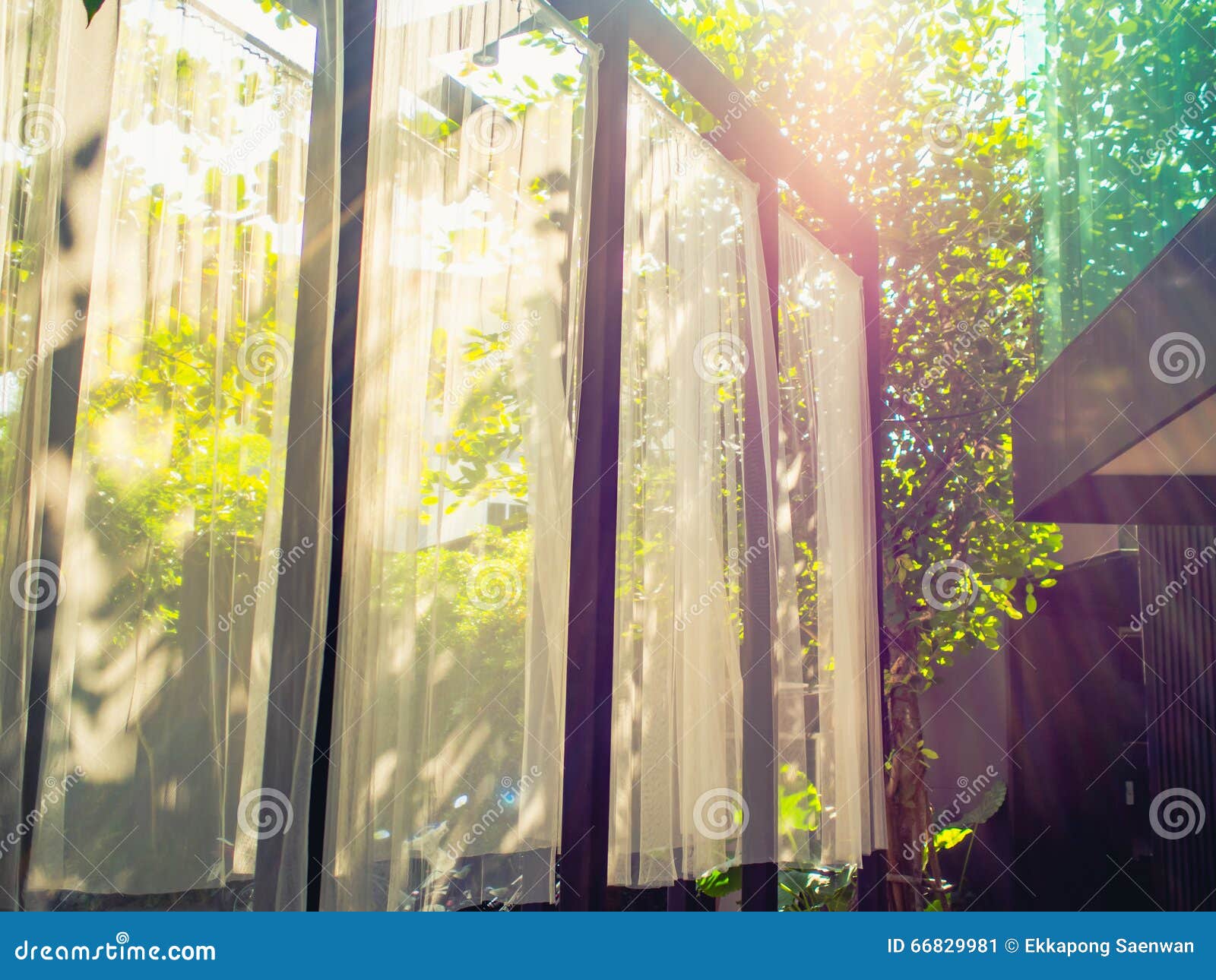 Bright Sunlight through a Large Window Stock Image - Image of dreams ...