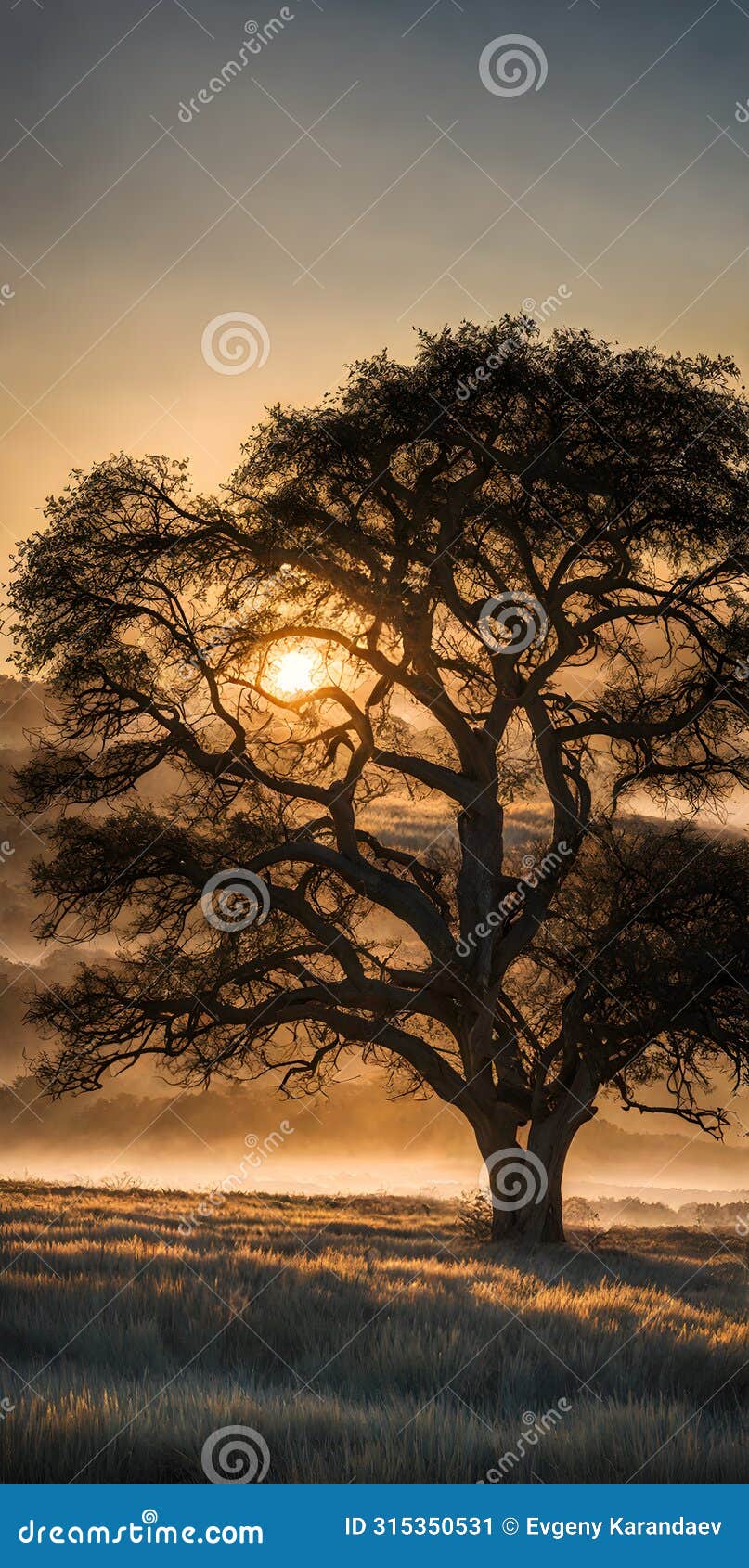 Bright Sunlight Over Serene Landscape, Minimalistic Scenery with Single ...