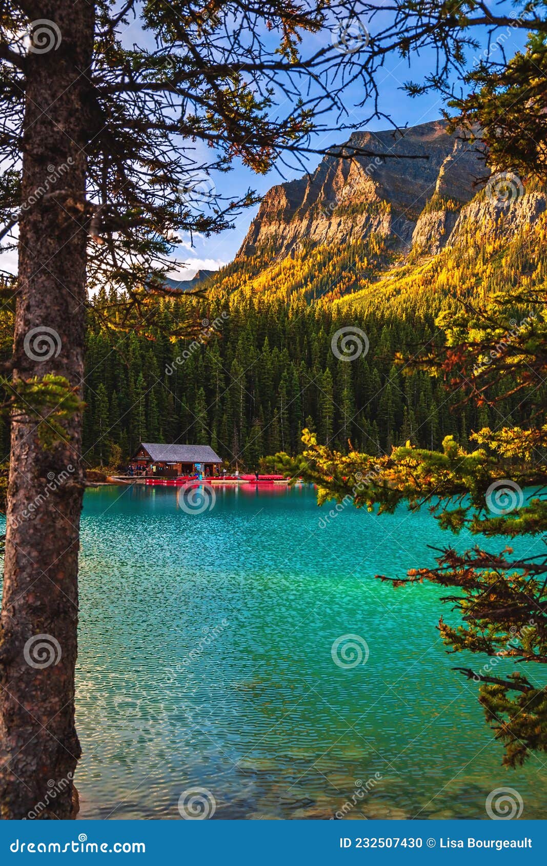 Sunlit Views at Lake Louise Stock Photo - Image of nationalpark ...