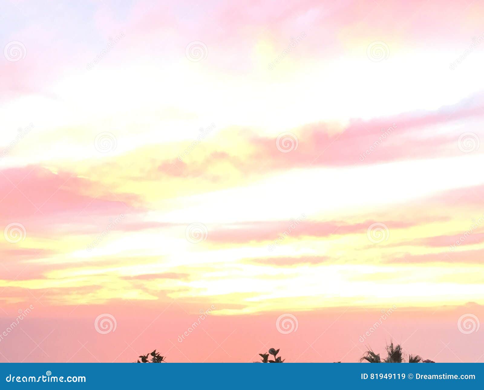 Bright, Sunny Morning at the Stock Image - Image of morning, earth ...