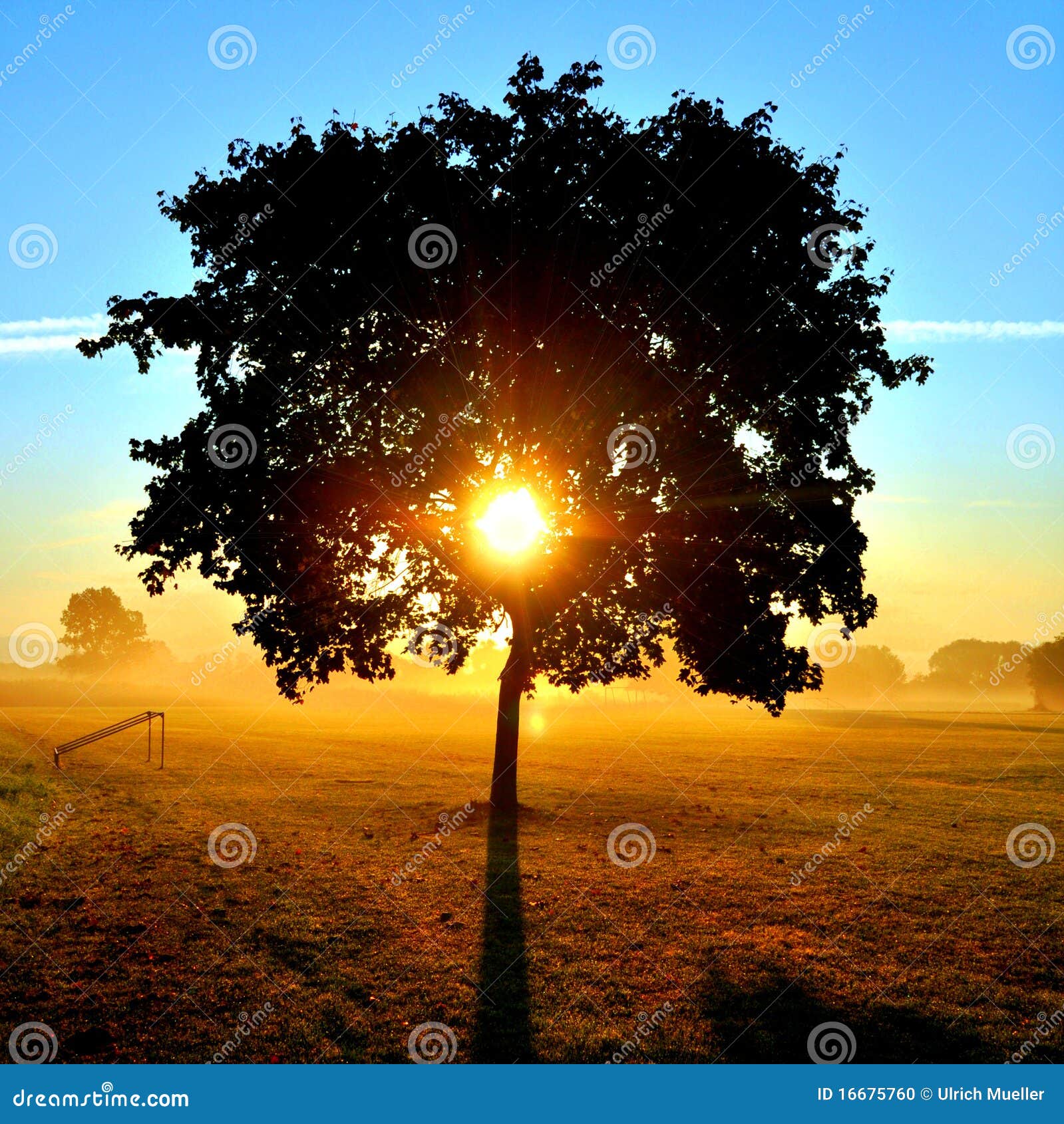 Bright sunrise stock photo. Image of silhouette, bright - 16675760