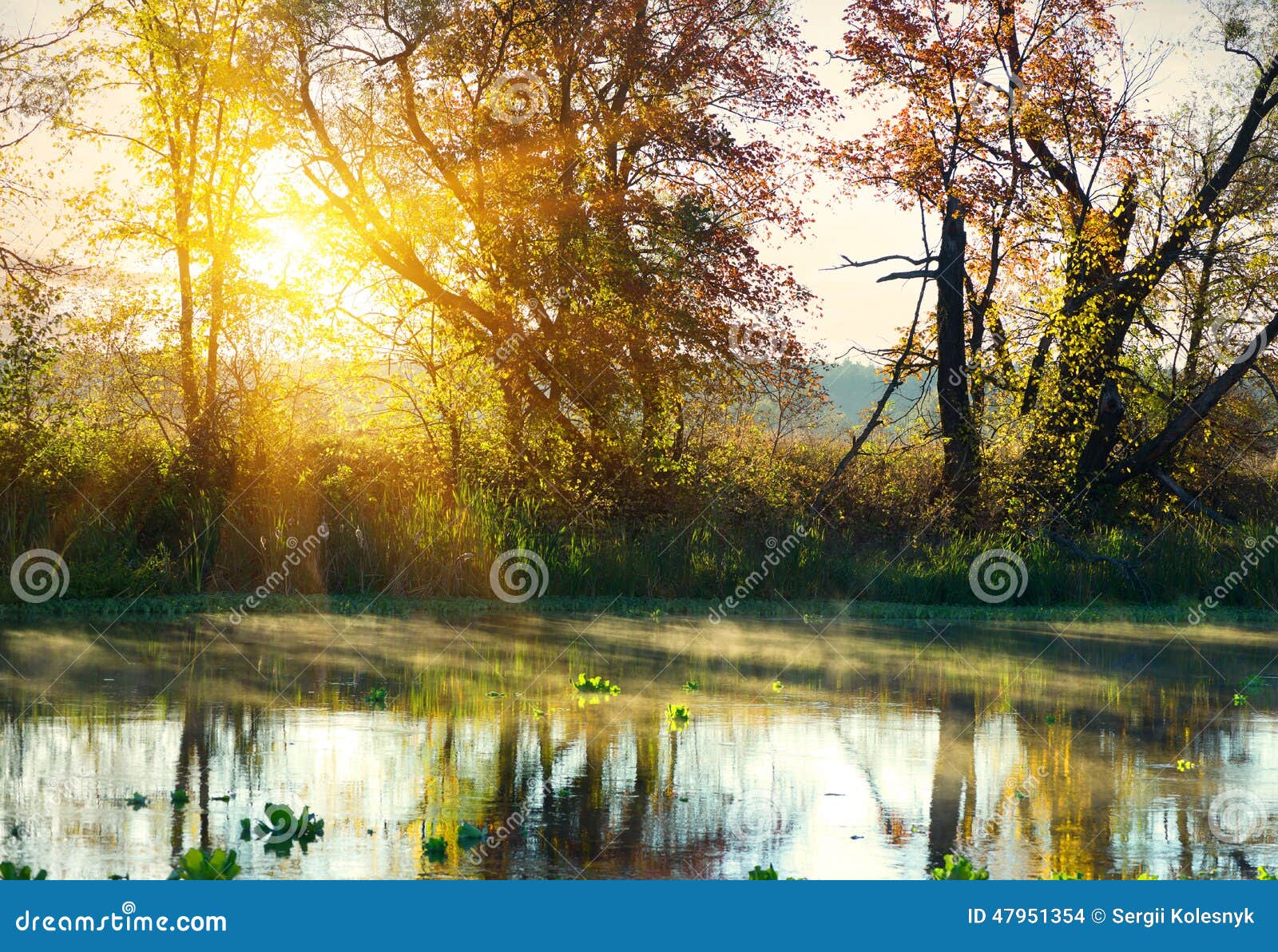 Bright sunrise over river stock photo. Image of light - 47951354