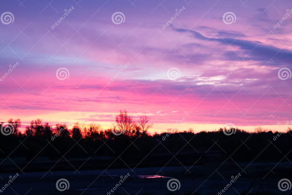 Bright Sunrise Over a Trees Stock Image - Image of cloud, light: 202641901