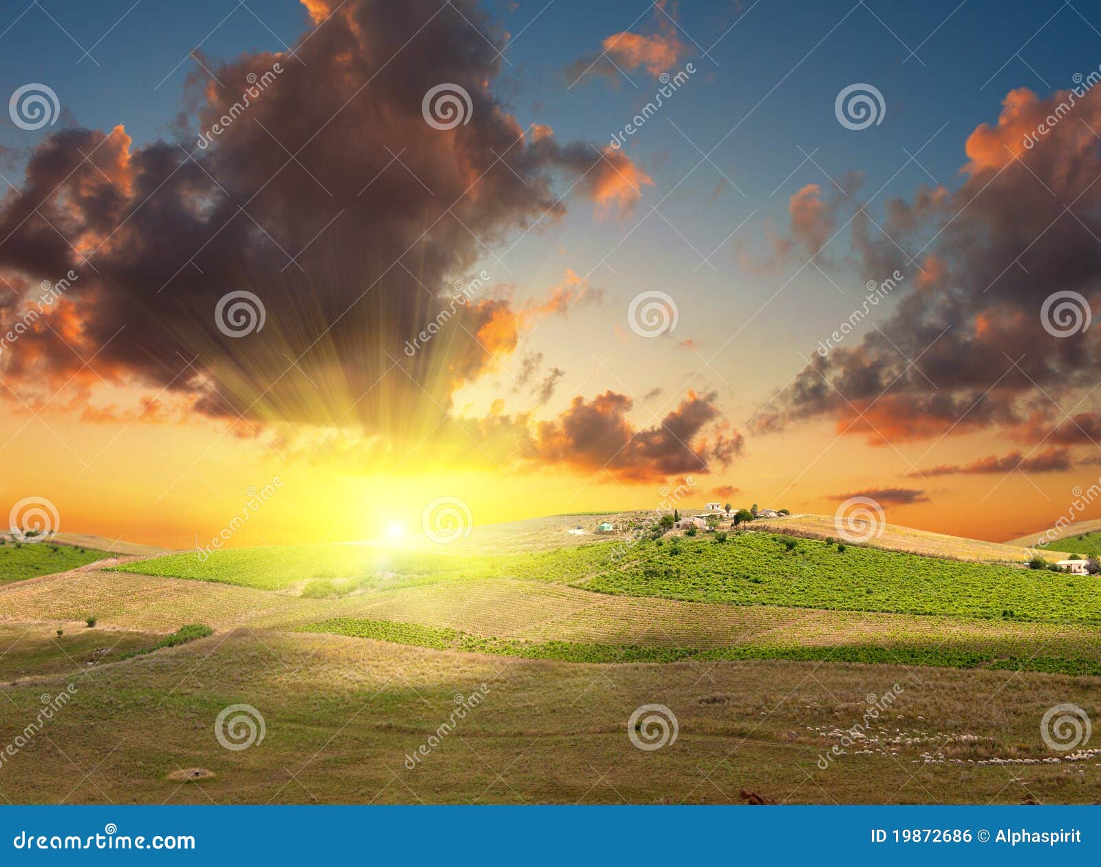 Bright sunset stock photo. Image of outdoor, meadow, land - 19872686