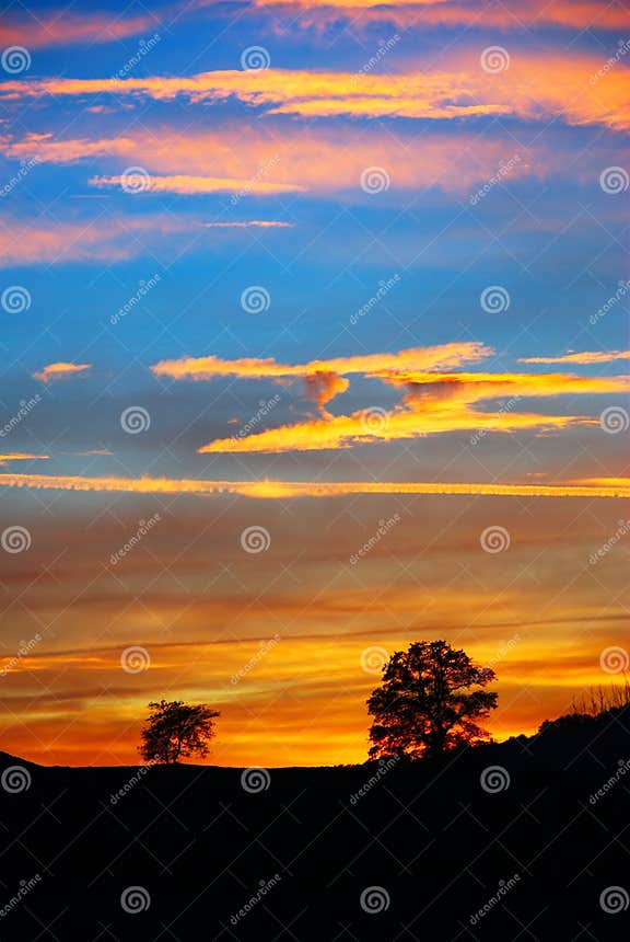 Bright sunset stock photo. Image of harmony, ecology, color - 4813116