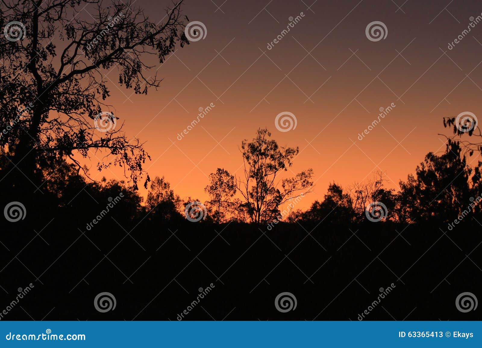 Bright Sunset in the Australian Bush Stock Image - Image of rural, dawn ...