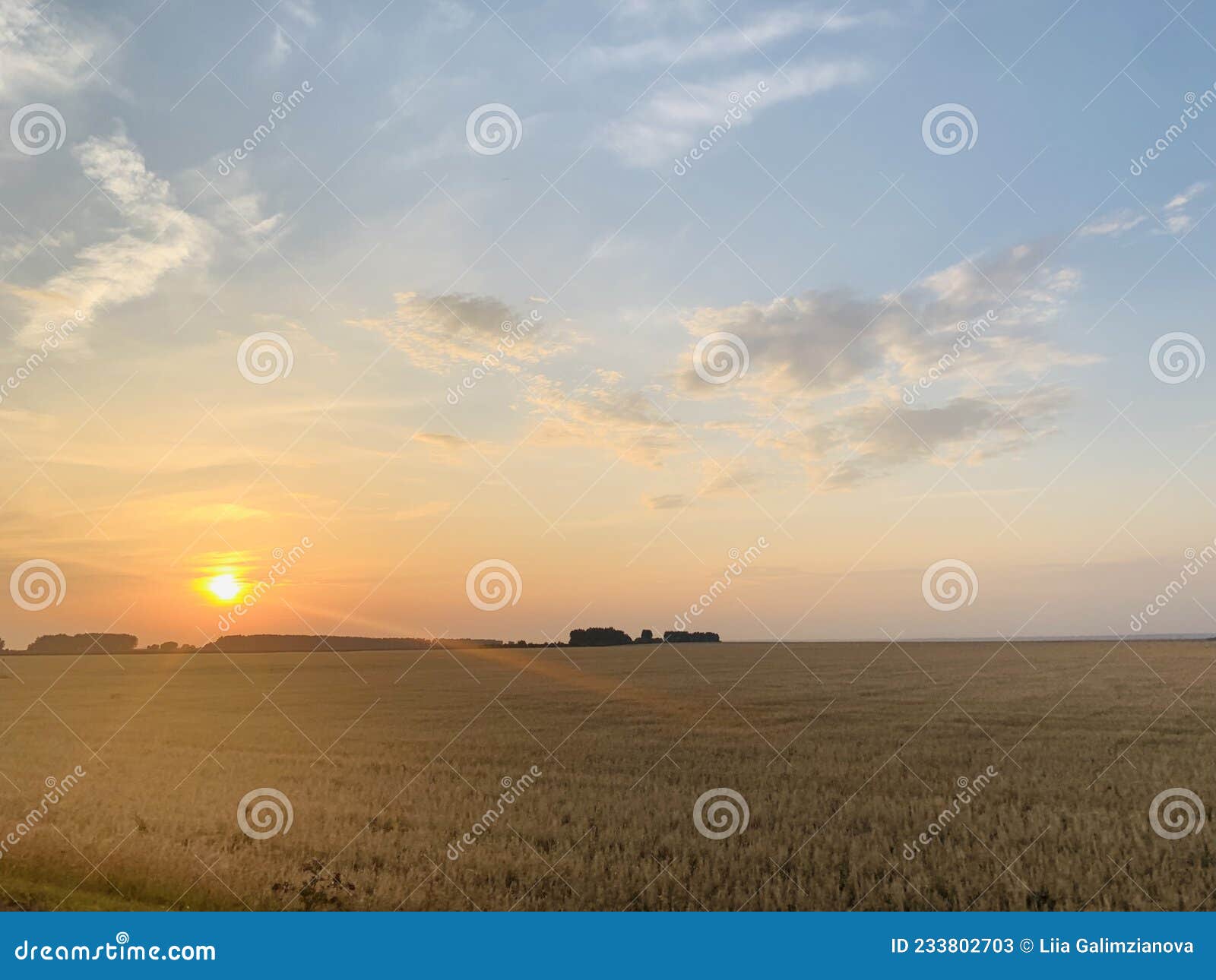Bright Sunset Over the Field Stock Image - Image of yellow, sunlight ...