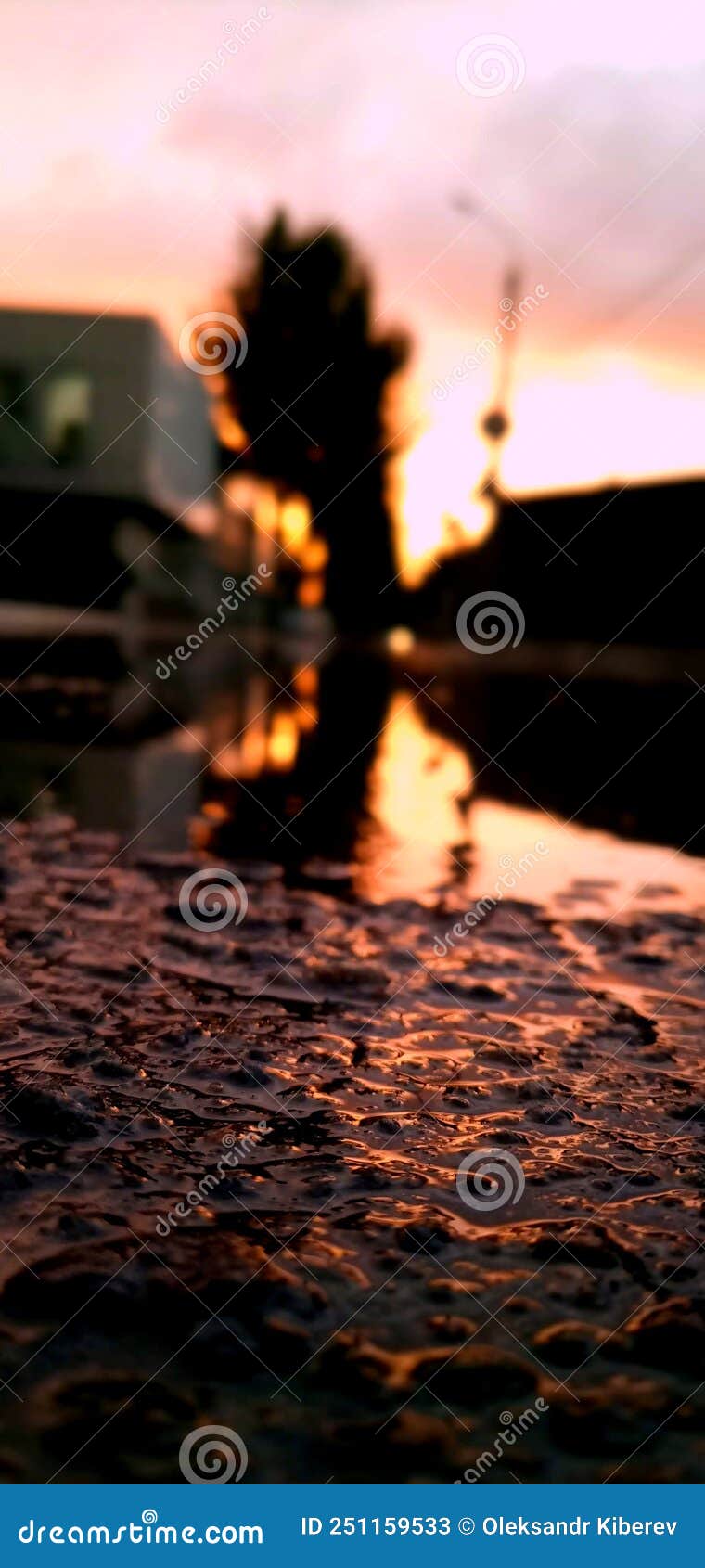 Bright sunset after rain stock image. Image of morning - 251159533