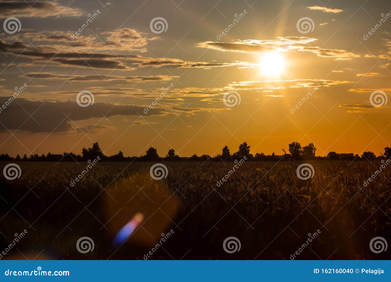 Bright Sunset, Sun Setting Over the Horizon, Beautiful View Stock Photo ...