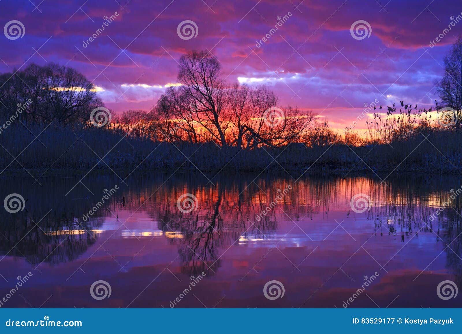 Bright Sunset on a Wild Lake in Lilac Tones Stock Image - Image of blue ...