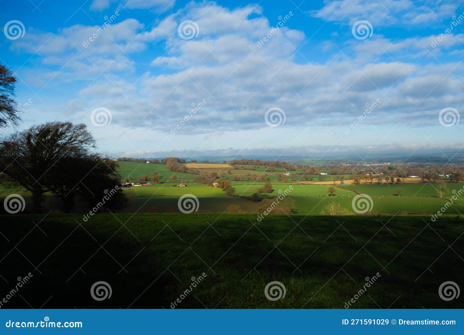 Bright Sunshine on Devon Hills, Tree and Fields Stock Image - Image of ...