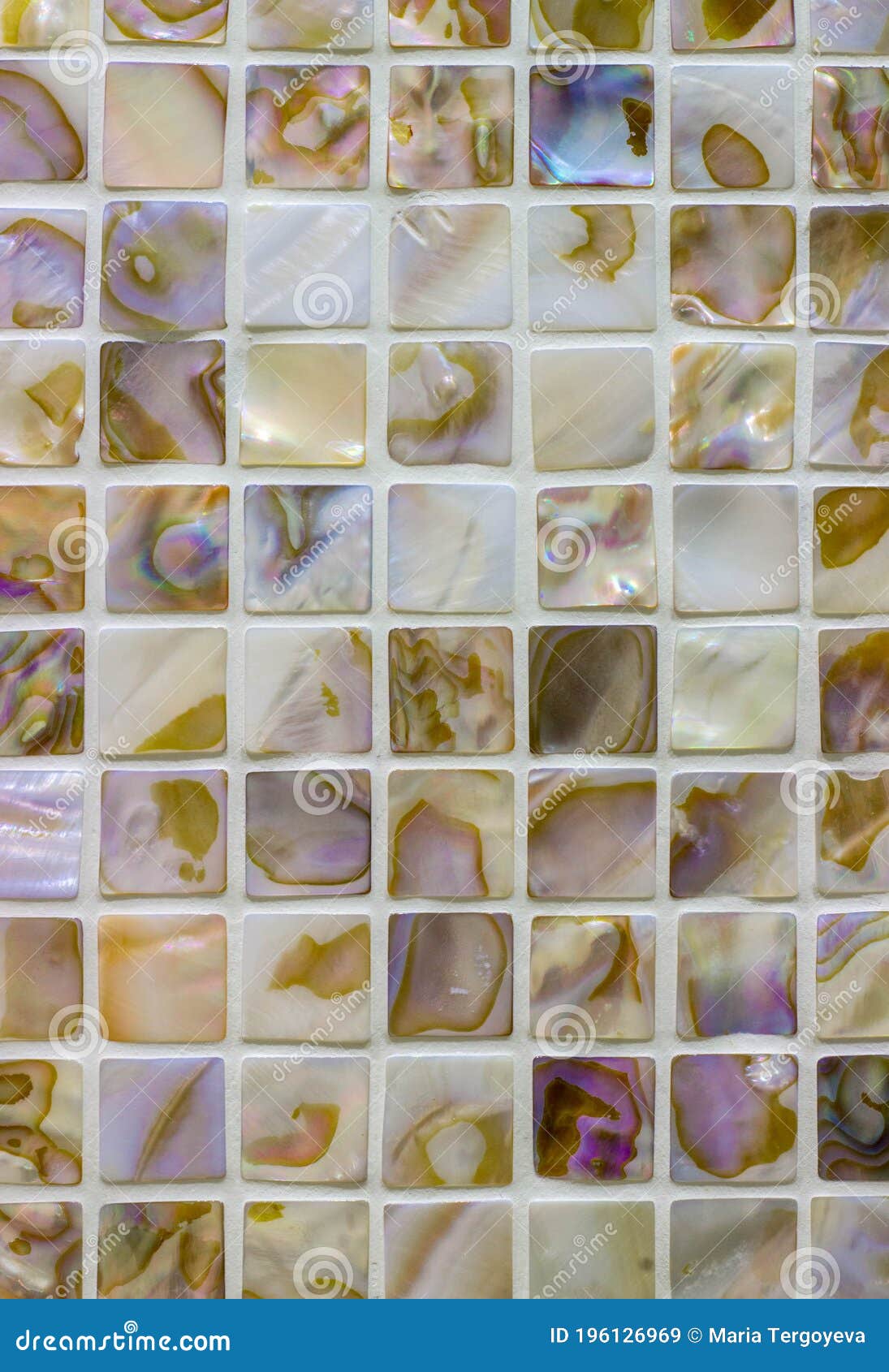 Bright Tile of Shells, Texture Stock Image - Image of square ...