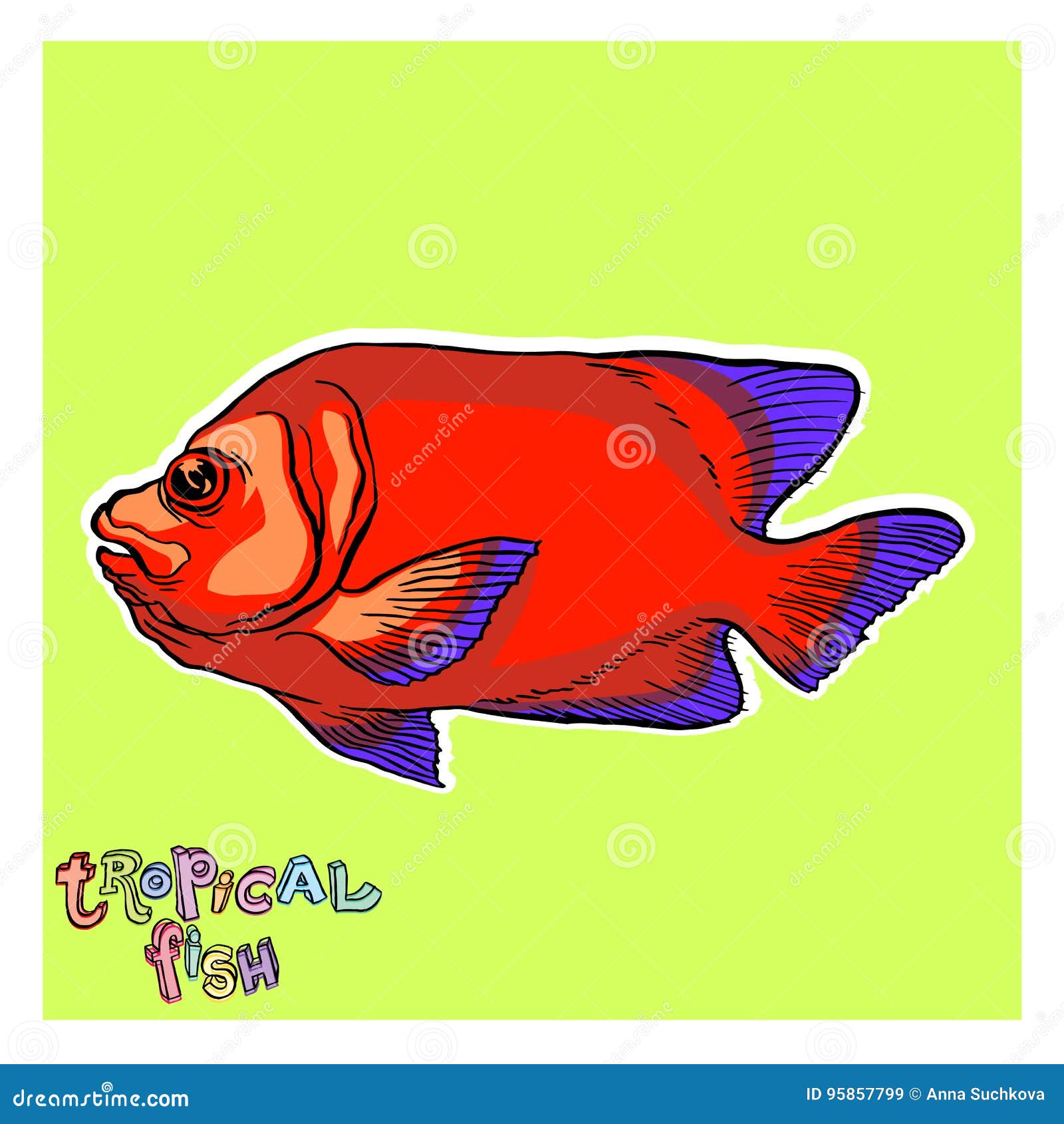 Bright tropical sea fish stock vector. Illustration of saltwater - 95857799