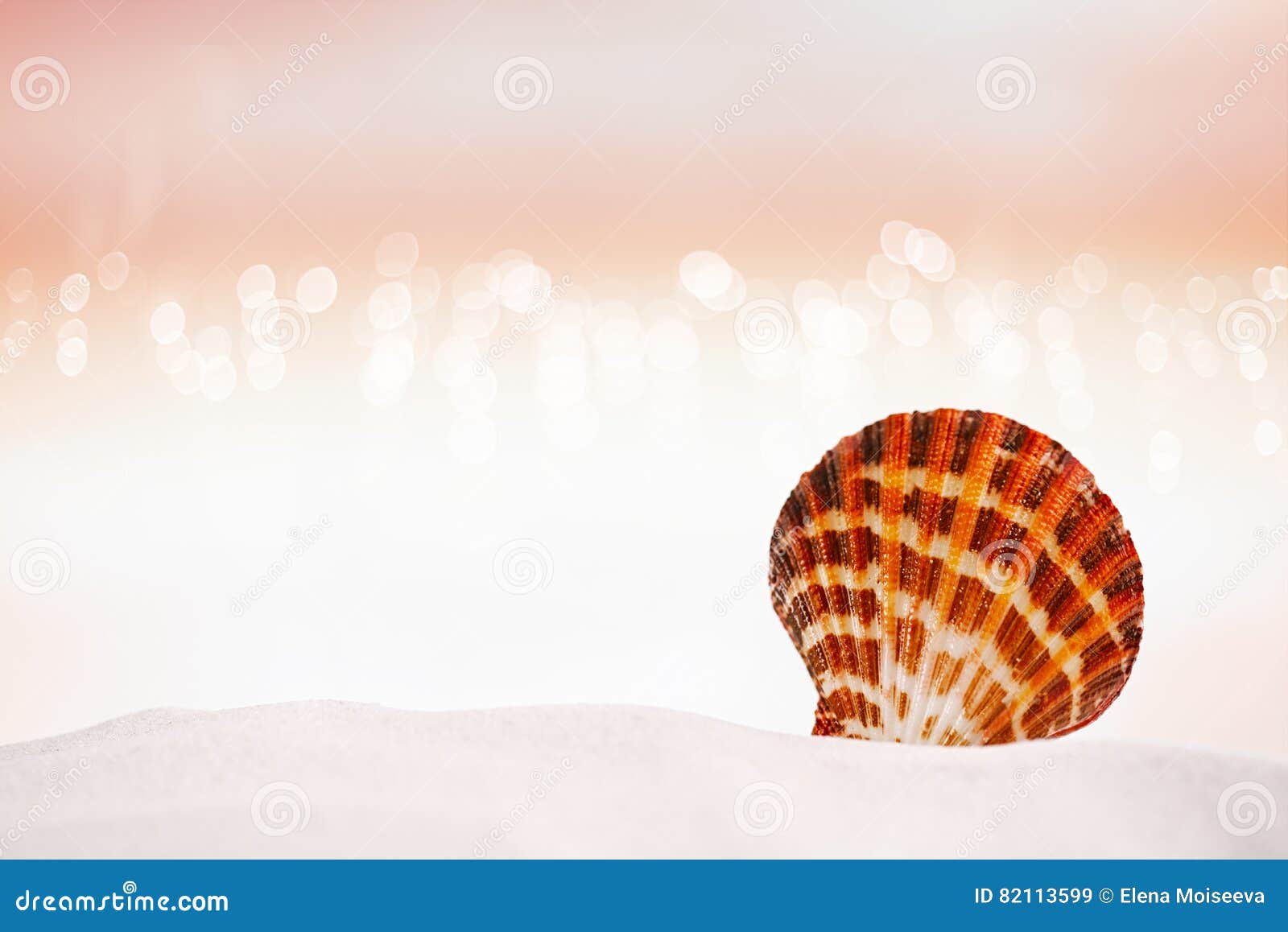 Bright Tropical Sea Shell on White Sand with Festive Glitter Stock ...