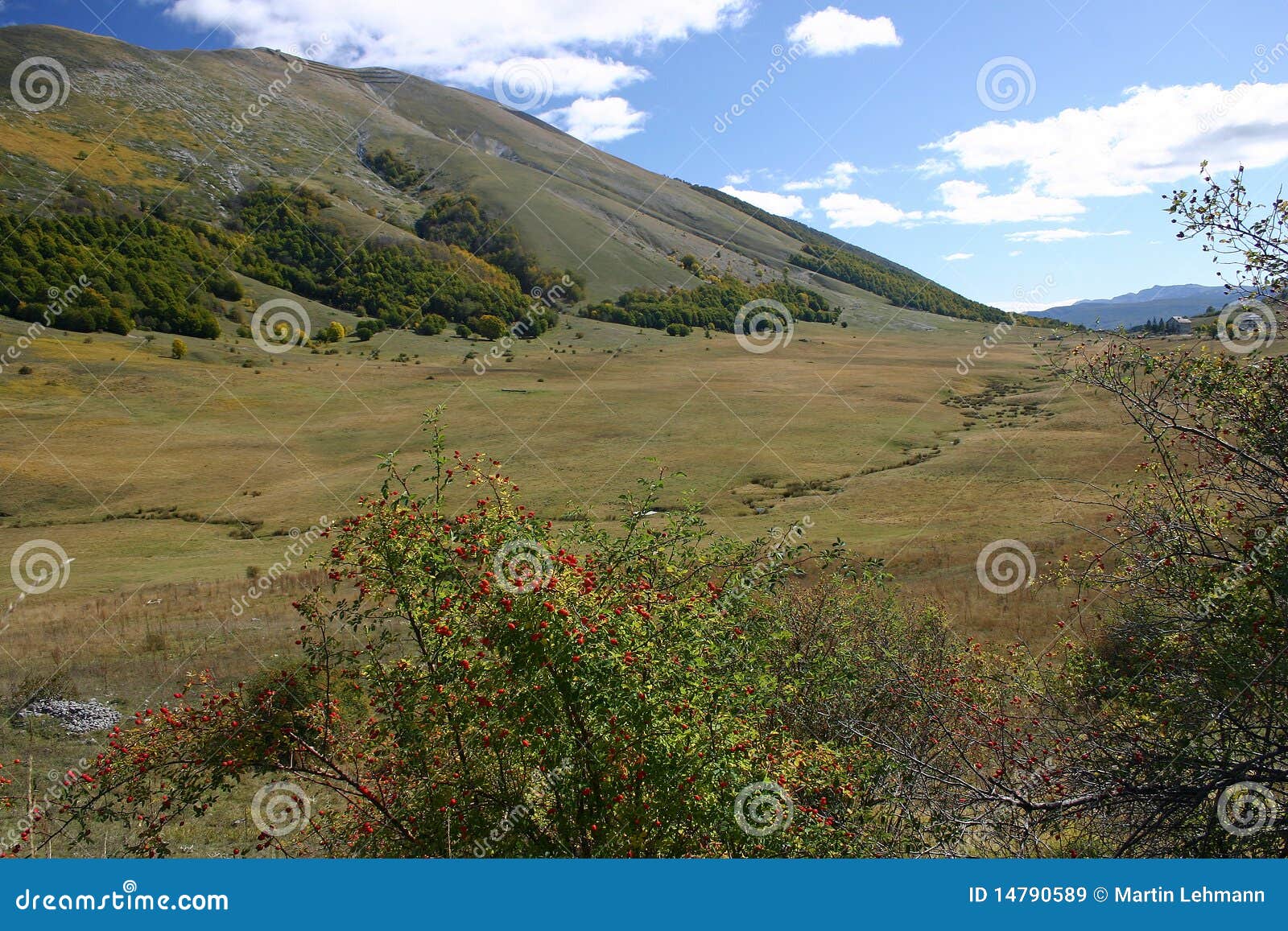 Bright valley in autumn stock image. Image of bushes - 14790589