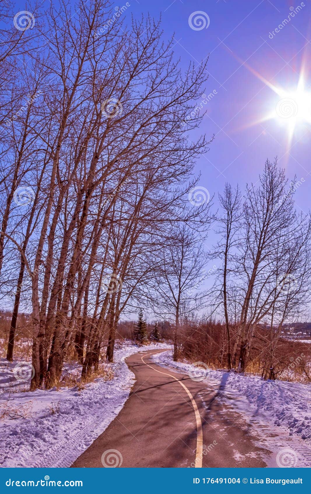 Bright Sun Over a Winter Park Path Stock Photo - Image of park, pathway ...