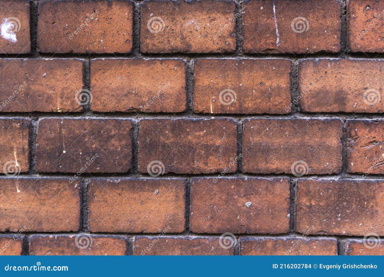 Bright Violin Wall Background Texture Porosity Pattern Design Stock ...