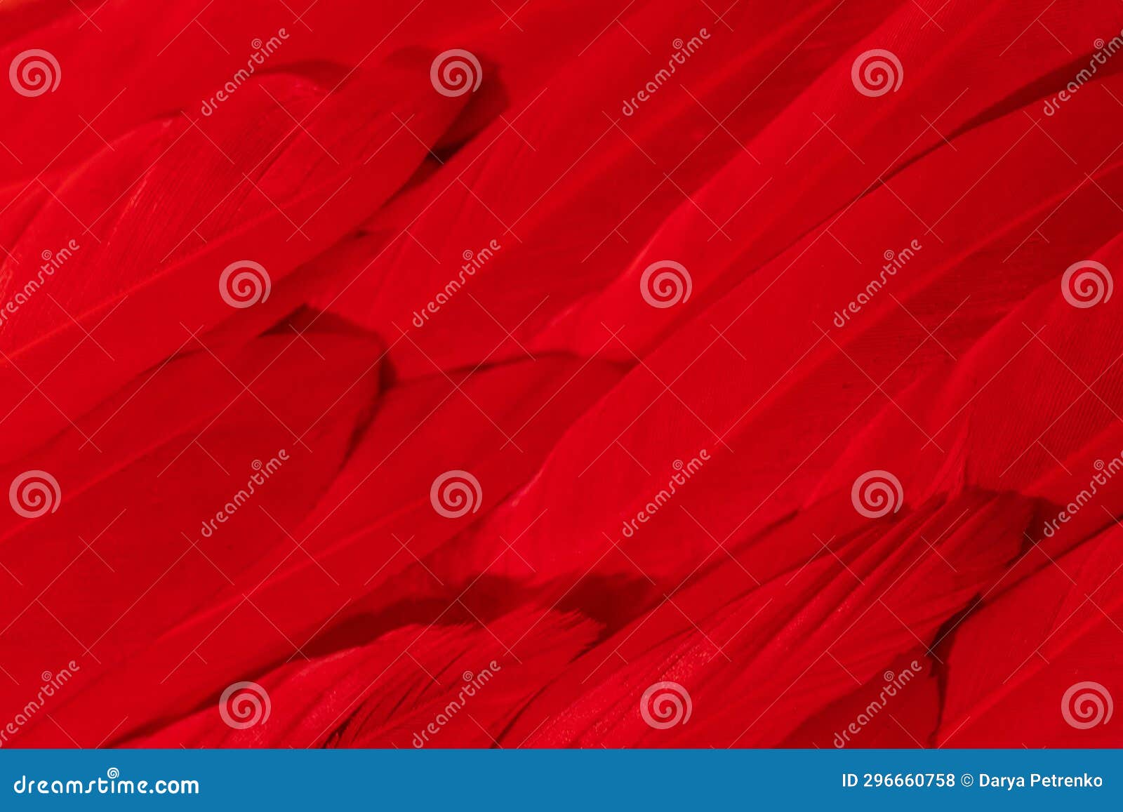 Bright Vivid Red Feathers for Design and Pattern Stock Photo - Image of ...