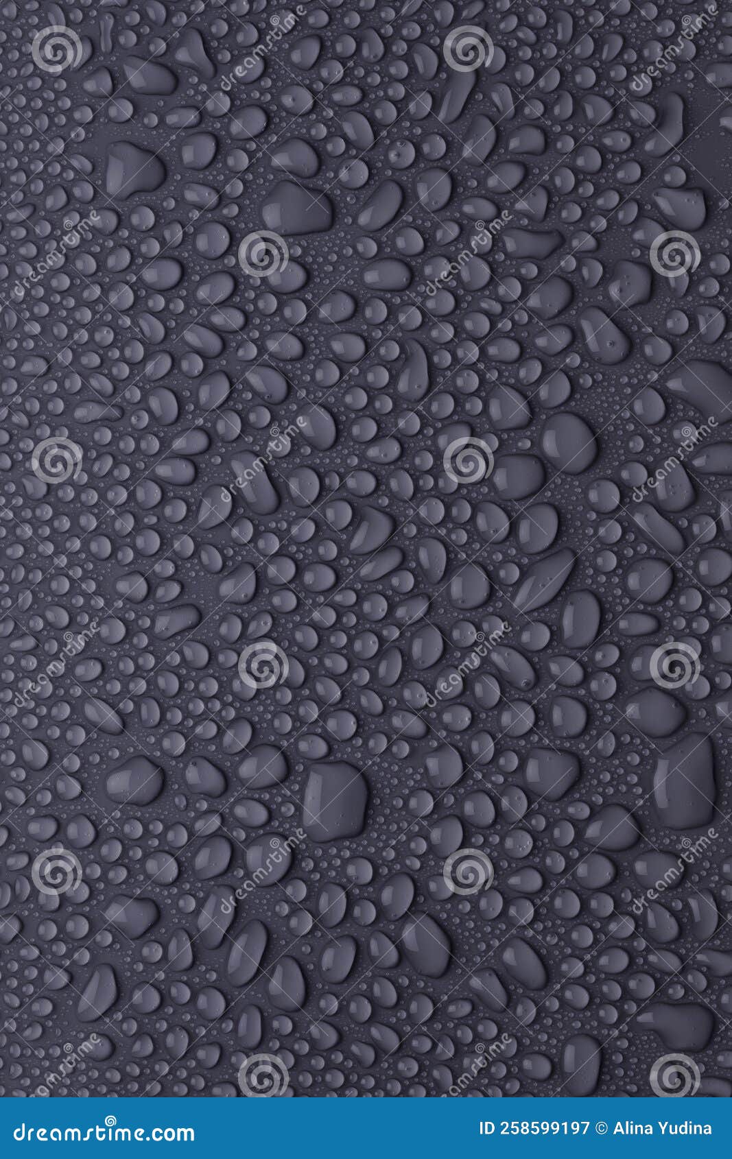 Bright Water Droplets on Grey Background As Modern Pattern, Texture ...