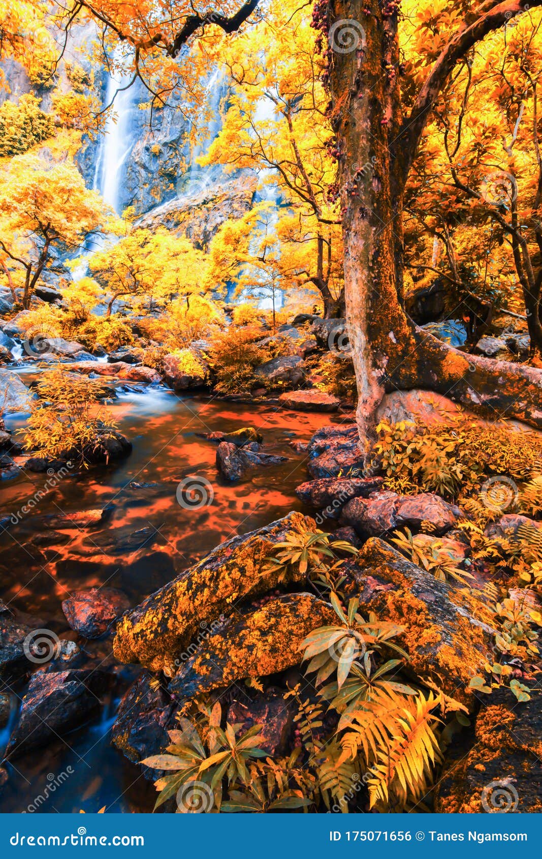 Bright Waterfall Rainbow From Artist Point Trail In Yosemite National ...