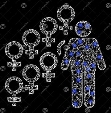 Bright Web Network Harem Symbol with Lightspots Stock Vector ...