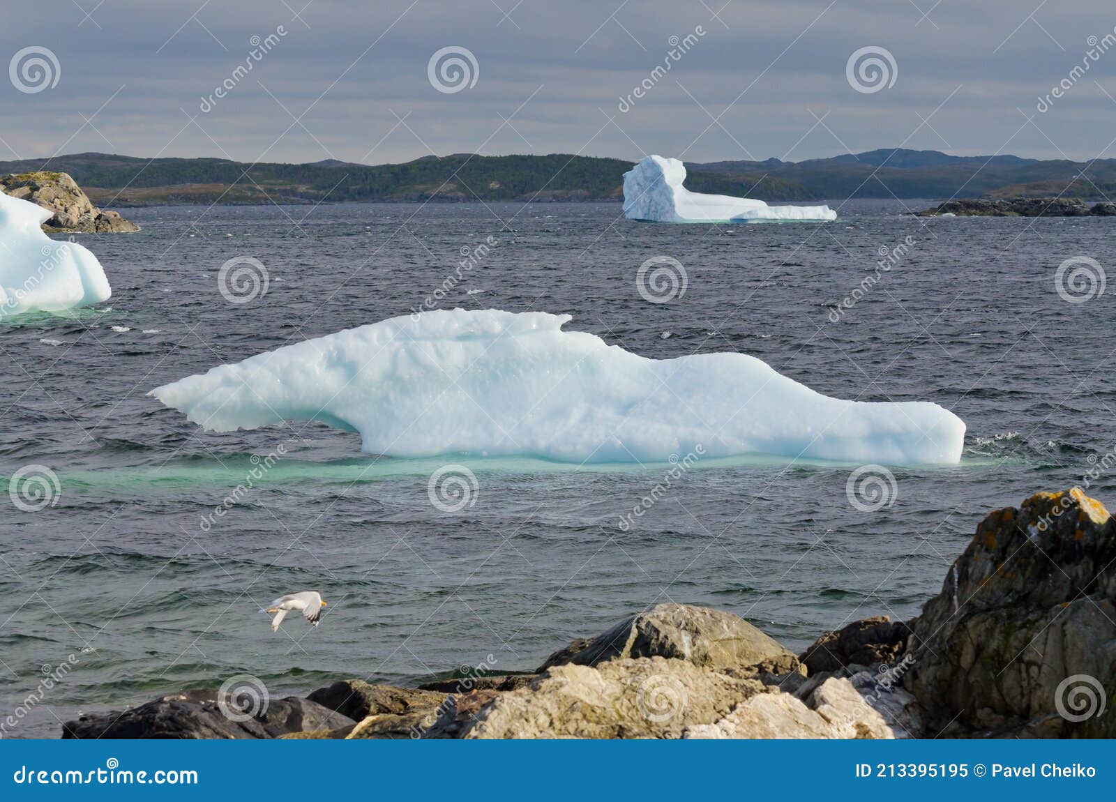 Bright white iceberg stock image. Image of mountain - 213395195