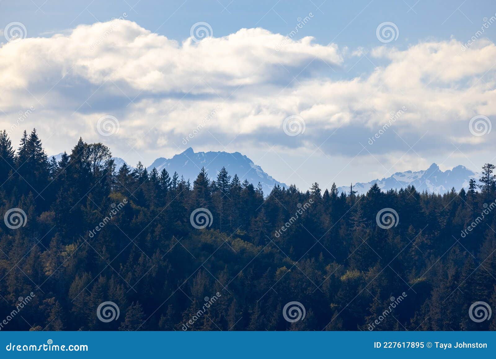 Bright White Puffy Clouds Floating in a Blue Sky Stock Image - Image of ...