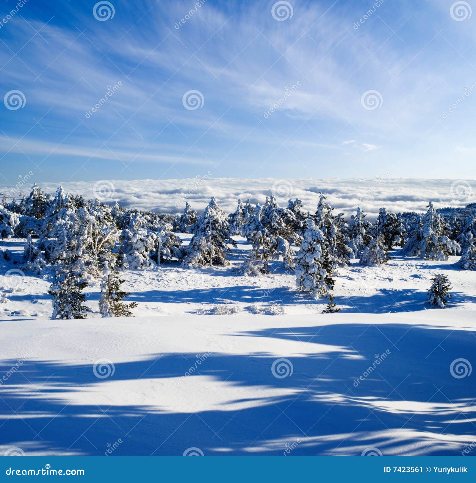 Bright winter stock image. Image of clear, steppe, frost - 7423561