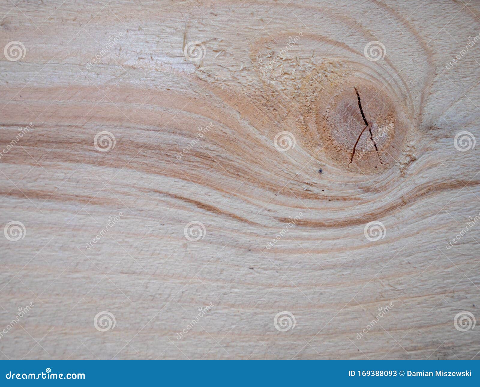 Plank With Knot Stock Image | CartoonDealer.com #5278291