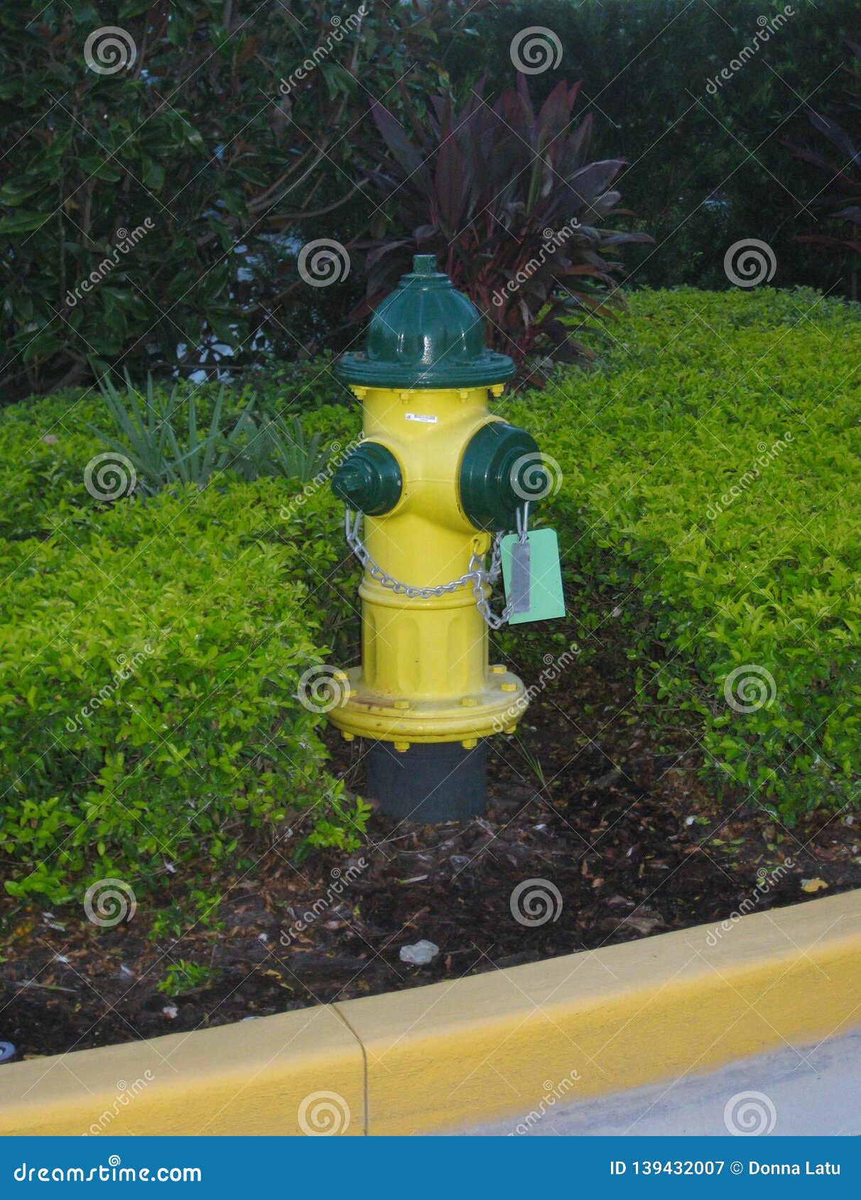 Bright Yellow and Green Fire Hydrant Stock Image - Image of simply ...