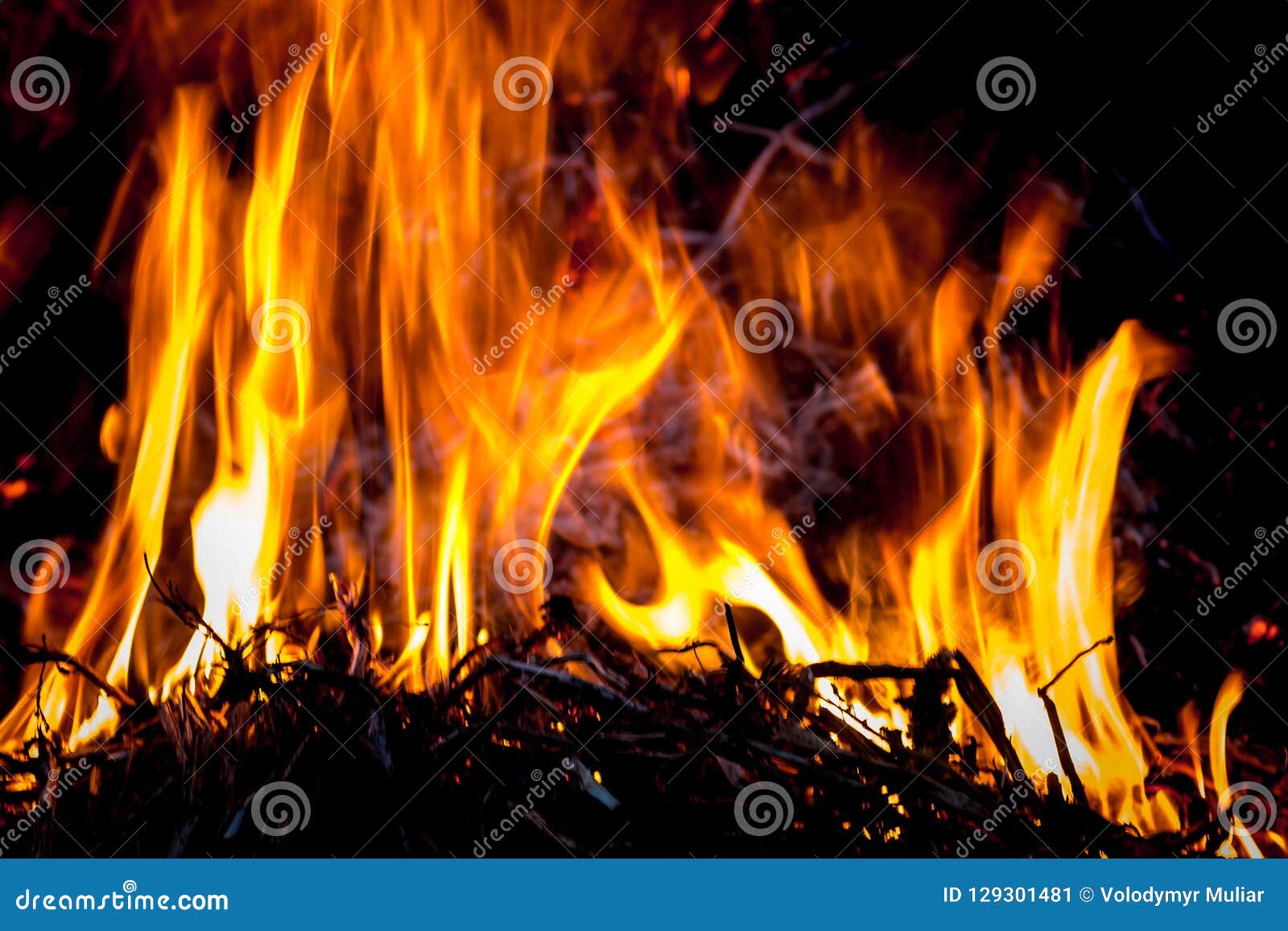 Bright Yellow-orange Fire on a Dark Background_ Stock Image - Image of ...