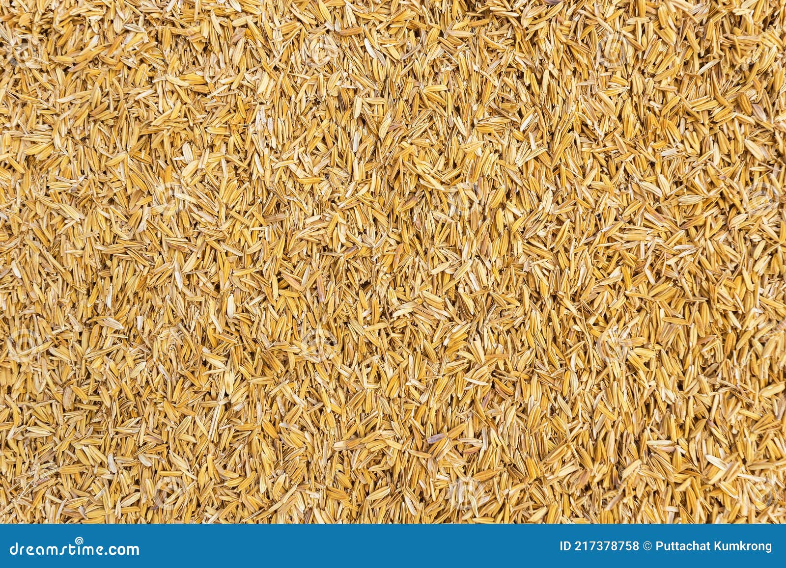 Rice Husk Texture Stock Photo | CartoonDealer.com #32036190