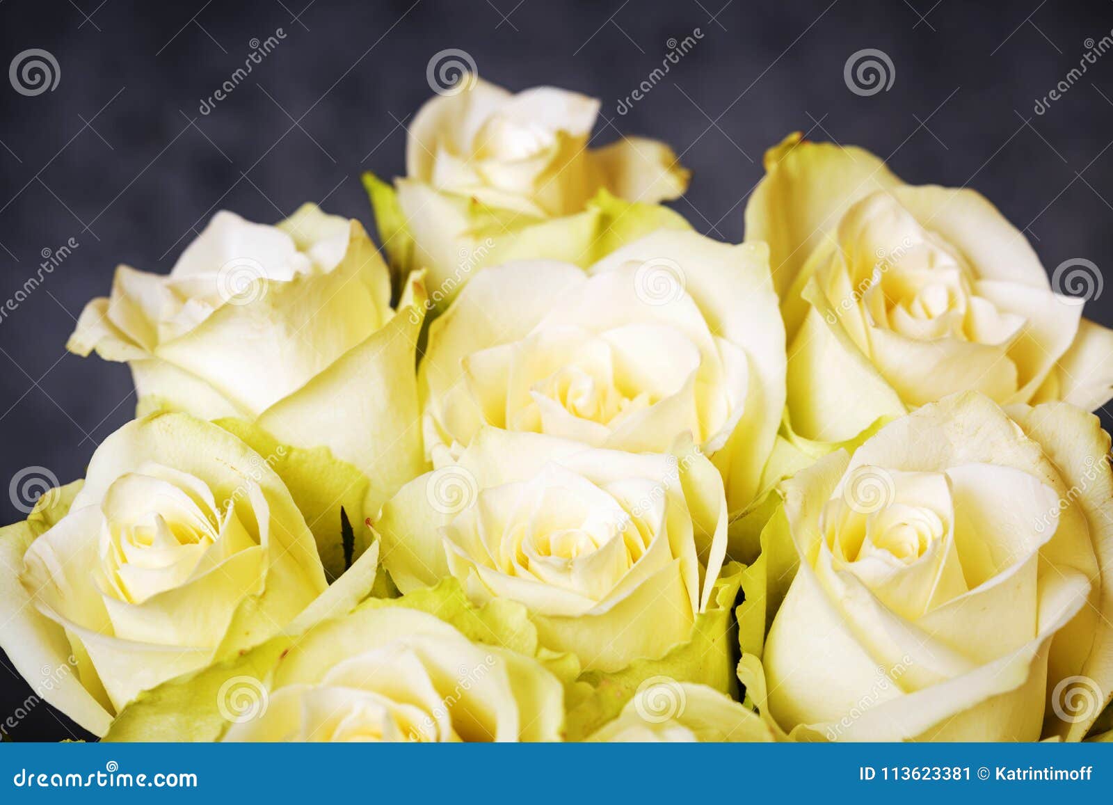 Bright Yellow Roses Background Stock Image - Image of beautiful, bloom ...