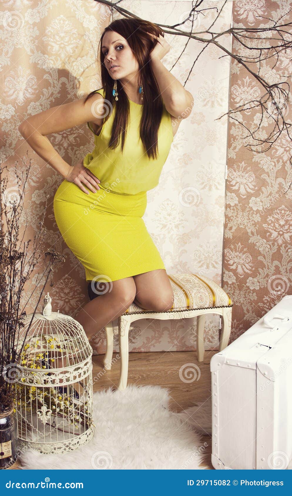 Bright Young Pretty Woman Posing with a Cage Stock Photo - Image of ...