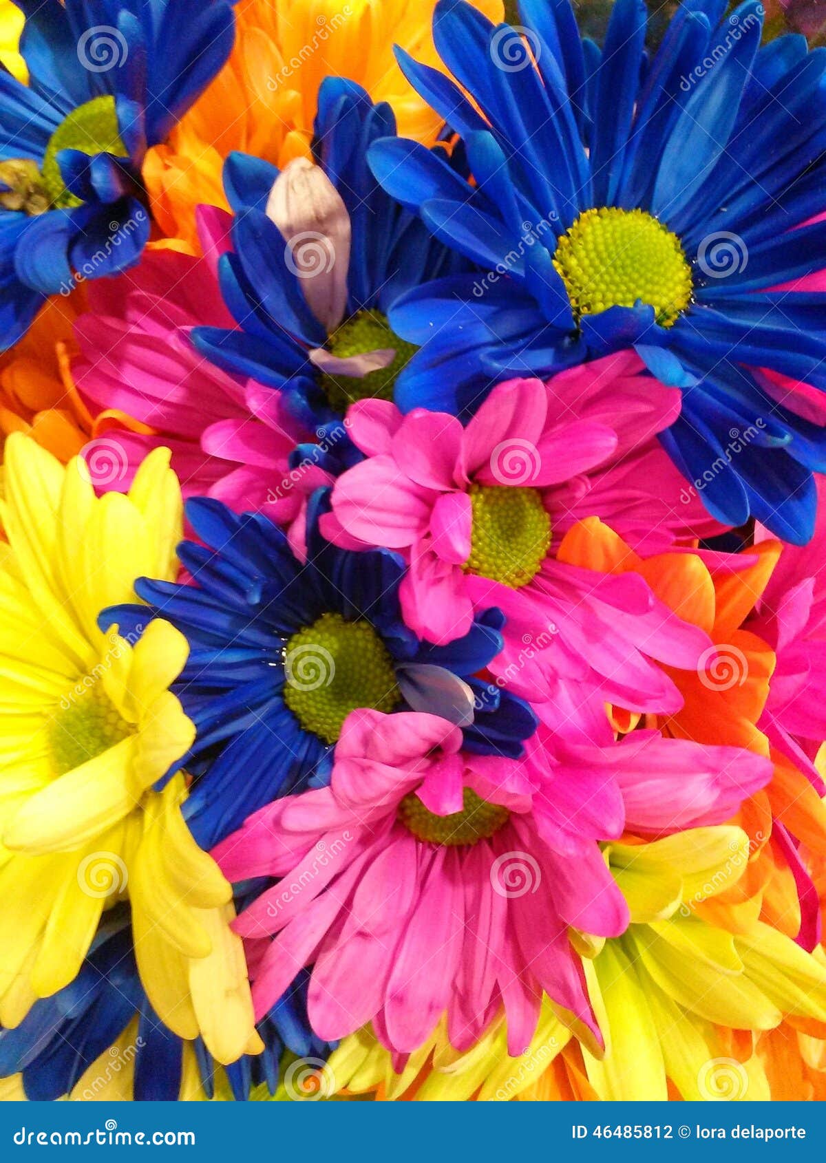 The Brightest Blends of Blooms Stock Photo - Image of bundle, stems ...