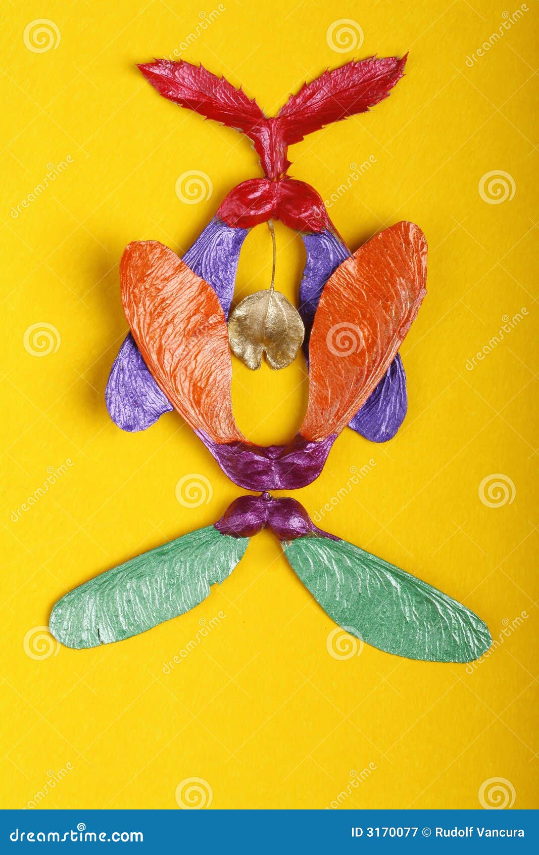 Brightly Colored Plant Seeds Stock Image - Image of color, colorful ...