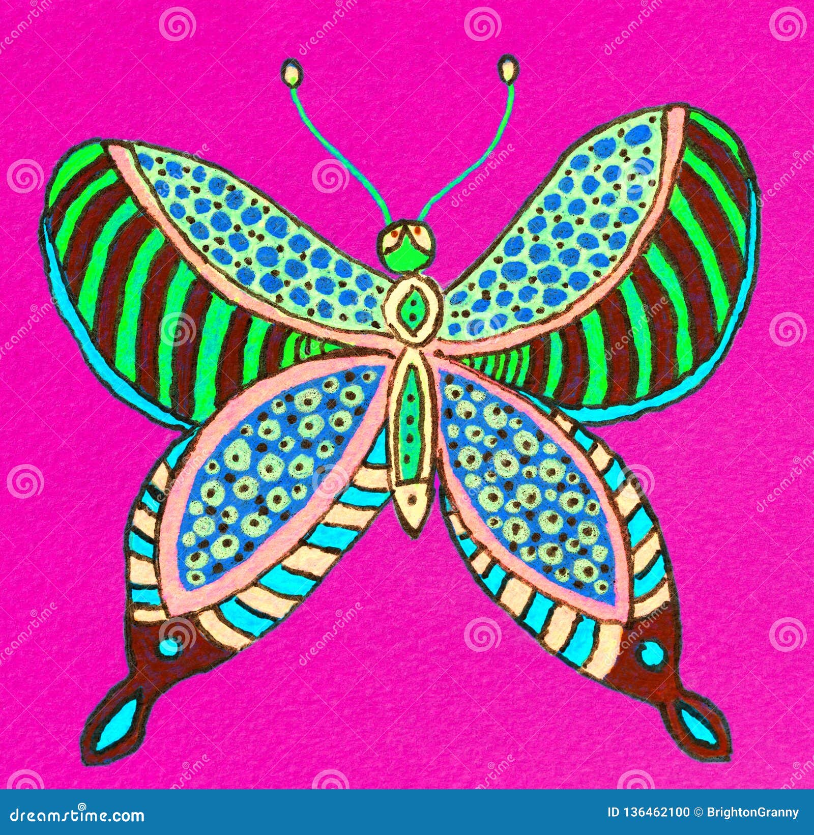 Outline Drawing of Patterned Butterfly. Stock Photo - Image of bright ...