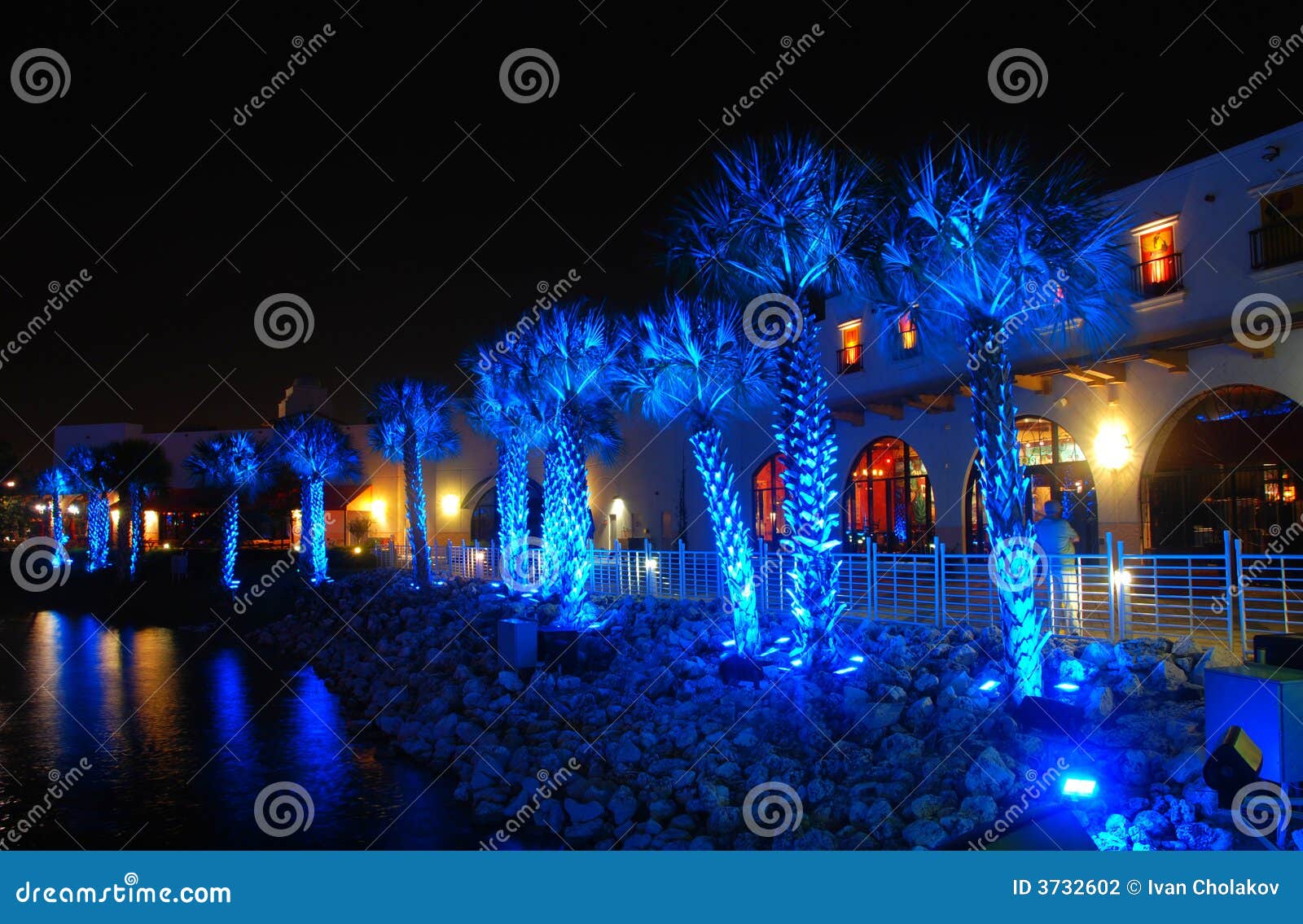 Brightly lit palm trees stock photo. Image of glow, coastal - 3732602
