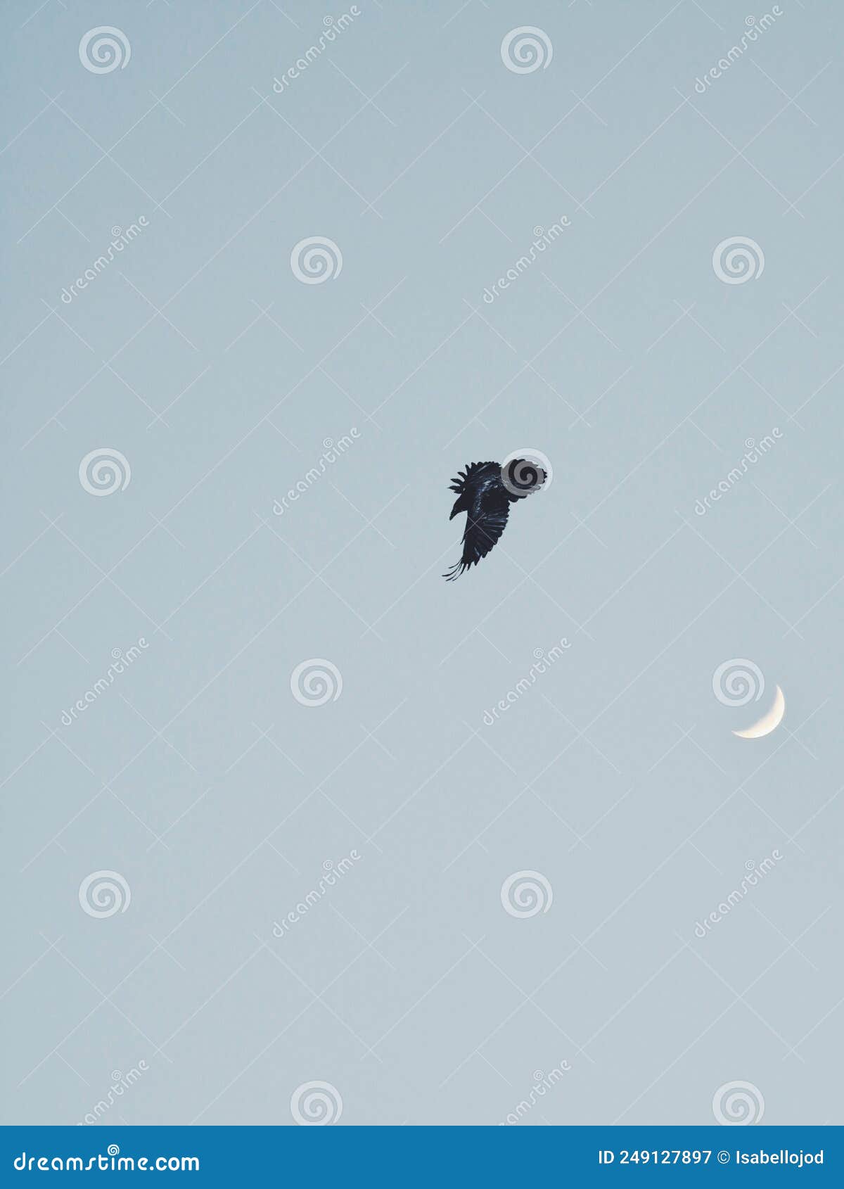 The Brightness and Flight of the Raven in a Sunset of Intense Heat ...