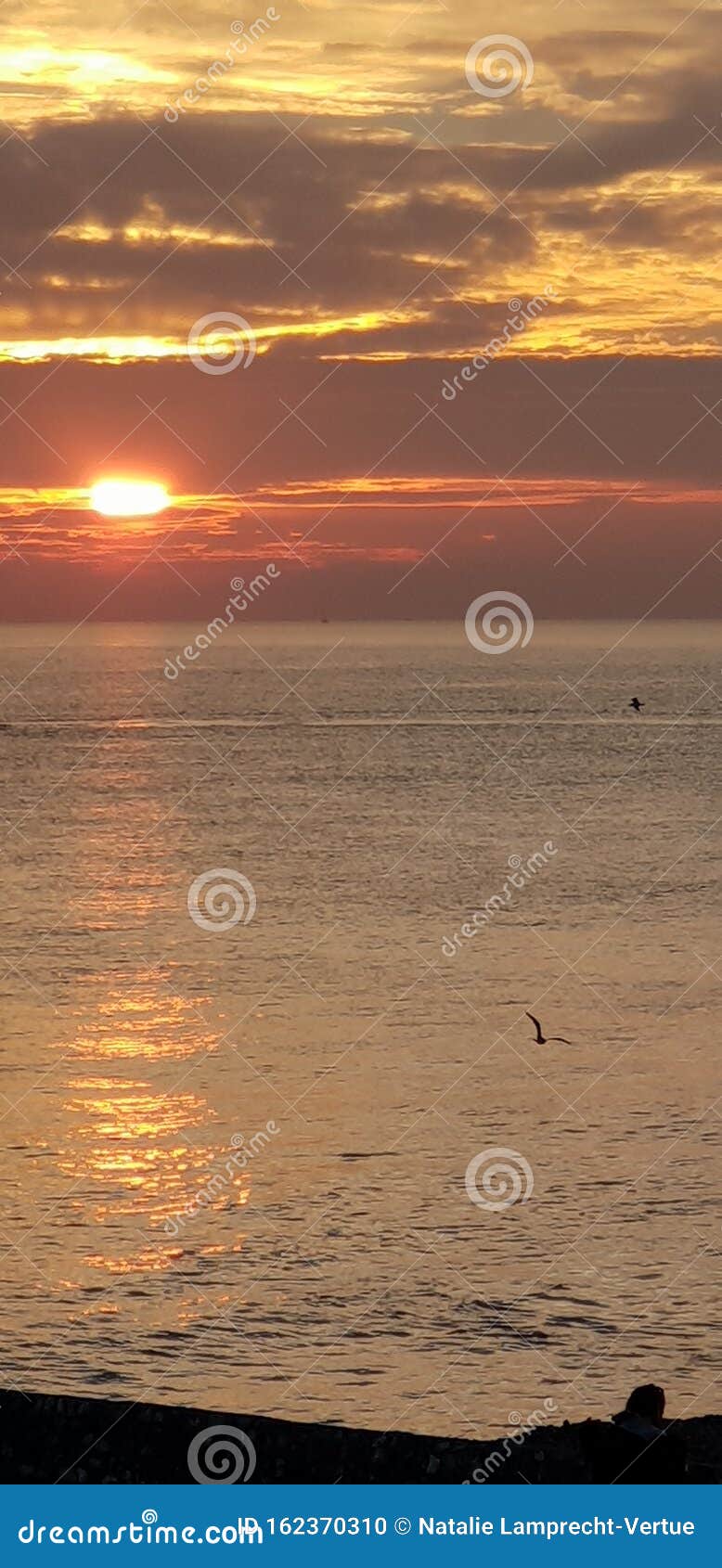 Brighton Birds Sunset Sea Orange Stock Photo - Image of orange, birds ...