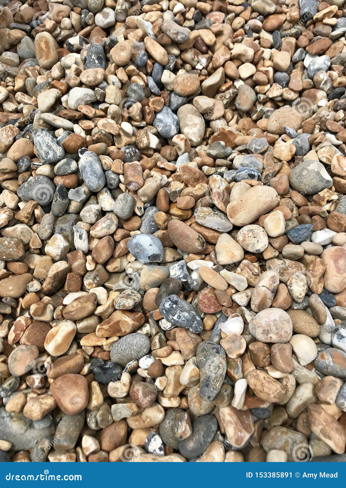 Brighton pebbles stock image. Image of beach, brighton - 153385891