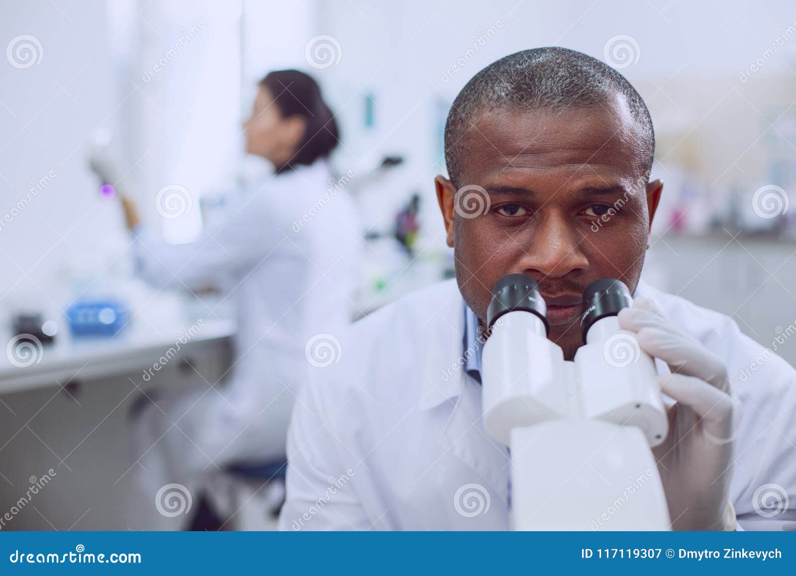 Brilliant Bioengineer Working in the Lab Stock Image - Image of ...