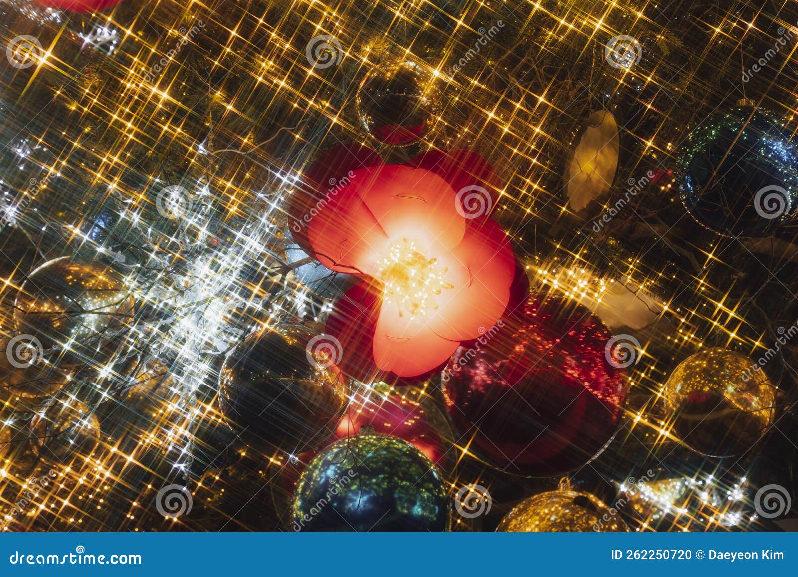 Brilliant Christmas Tree Crop Photo Stock Photo - Image of copy ...