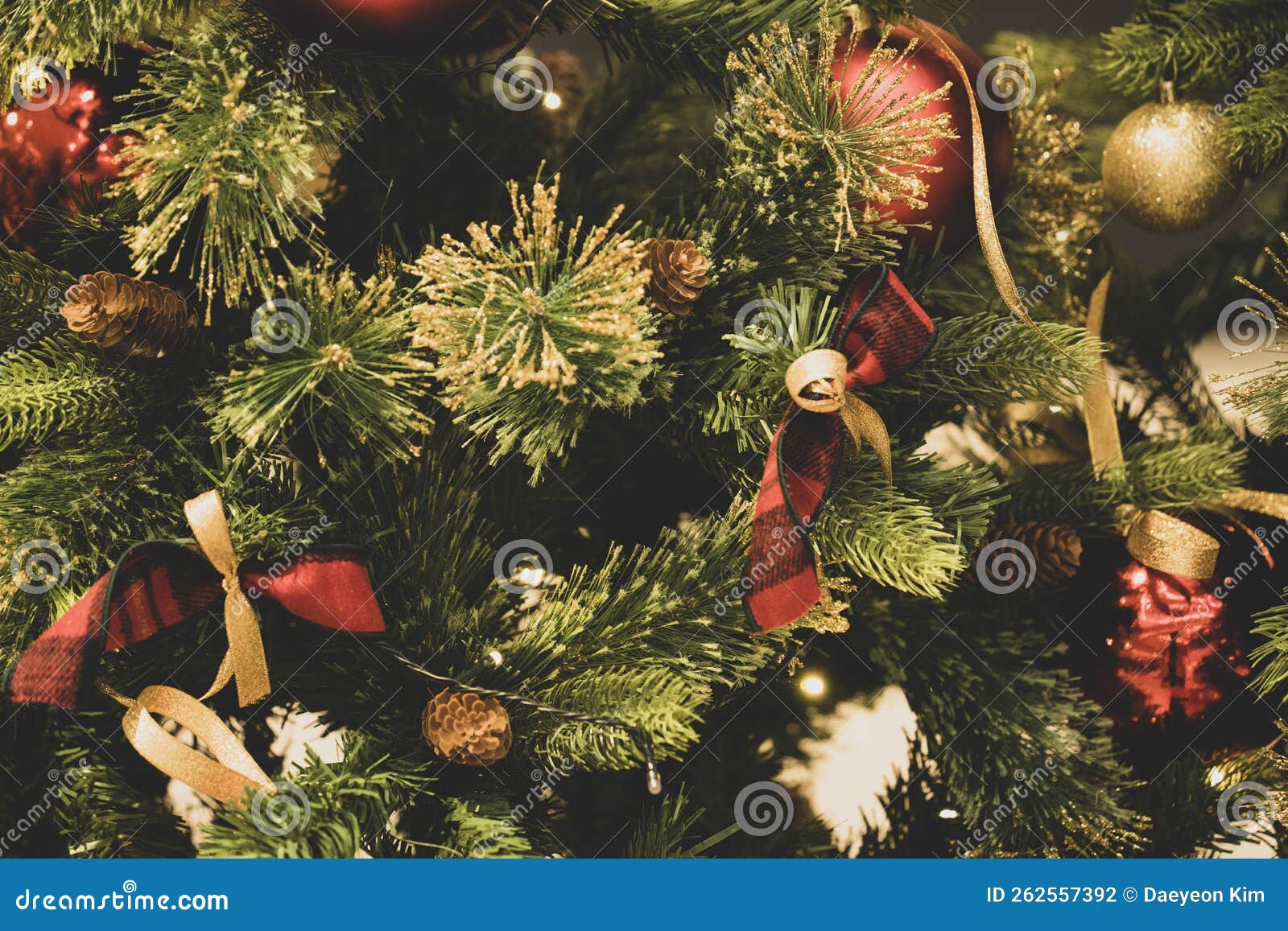 Brilliant Christmas Tree Crop Photo Stock Photo - Image of space ...