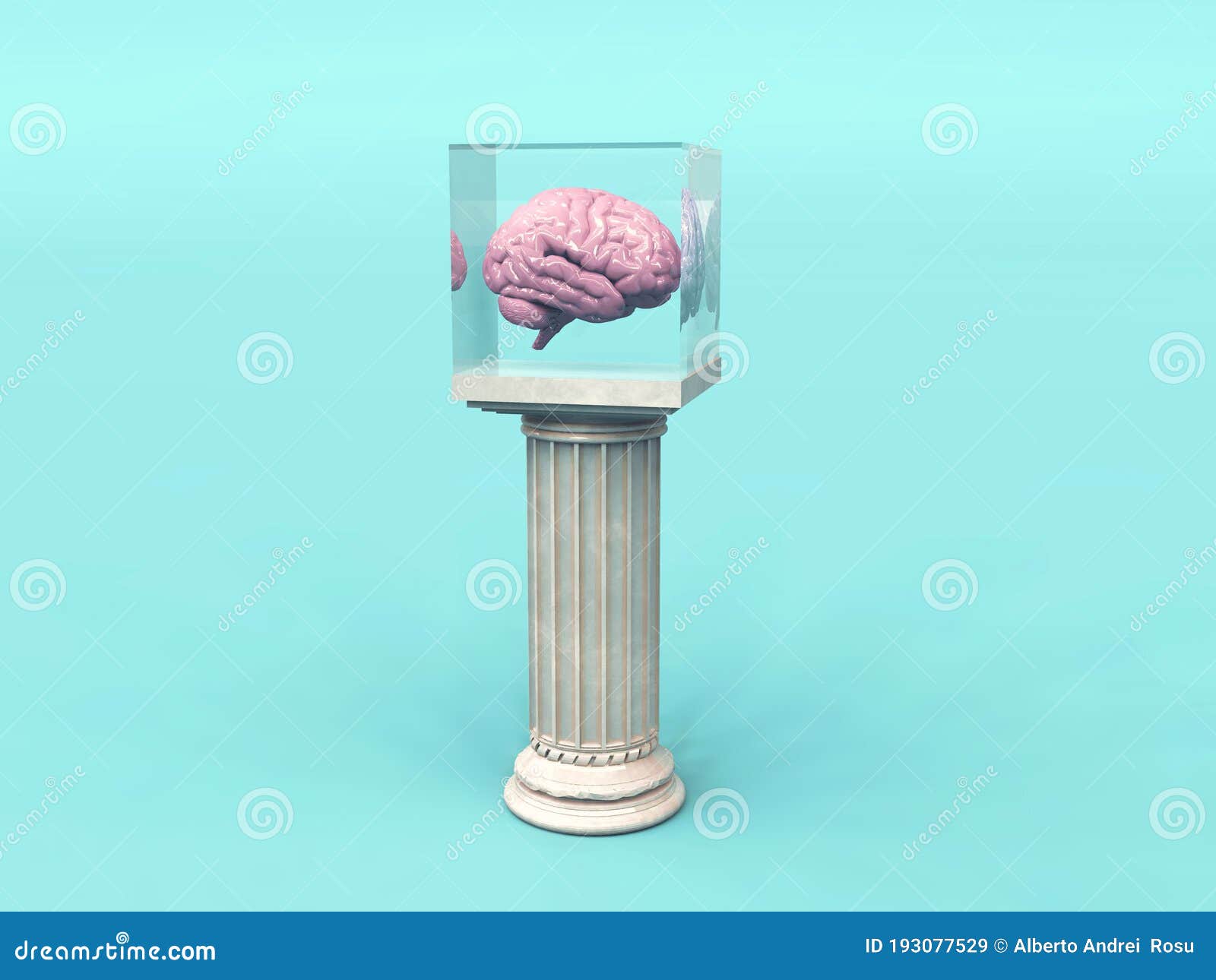 Human Brain in a Glass Cube on Column . Brilliant Mind Ideas Concept ...