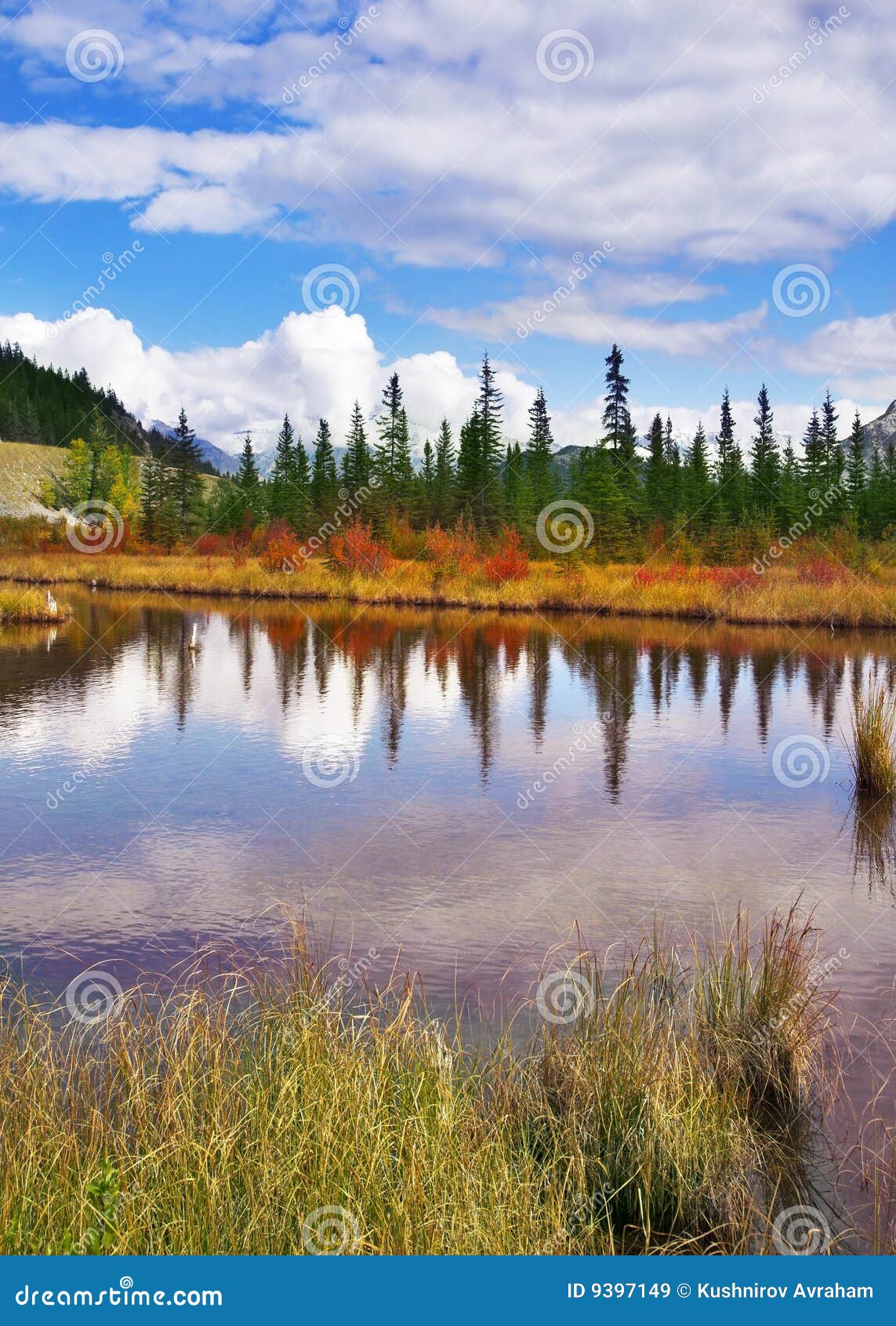 Brilliant small lake stock image. Image of picturesque - 9397149