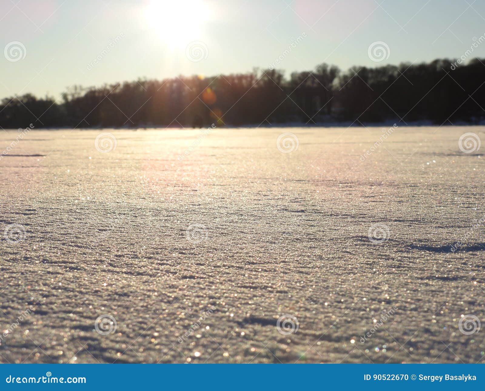 Brilliant snow stock photo. Image of pine, cold, forest - 90522670