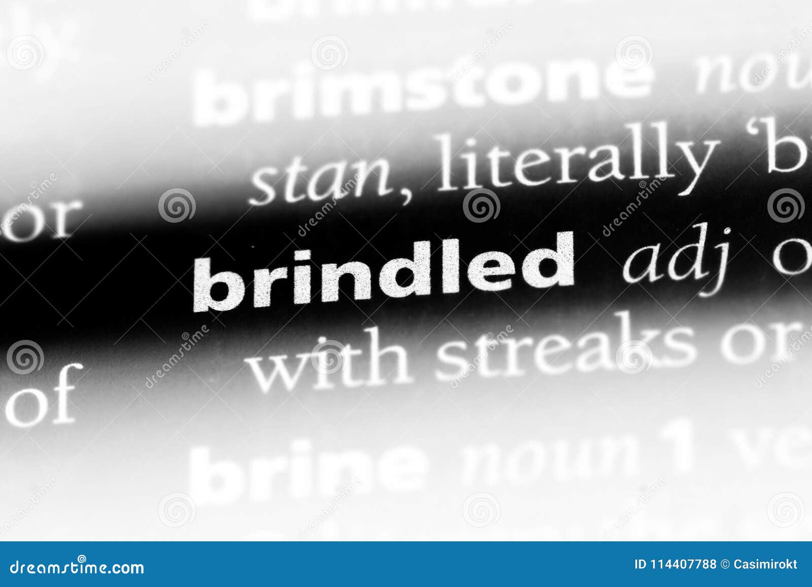 Brindled stock photo. Image of writing, macro, dictionary - 114407788