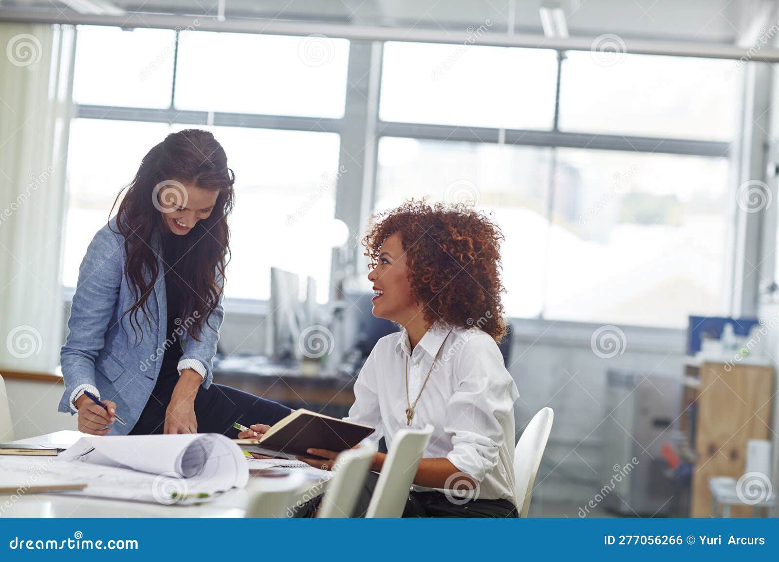 They Bring Complementary Skills To the Table. Two Young Female ...