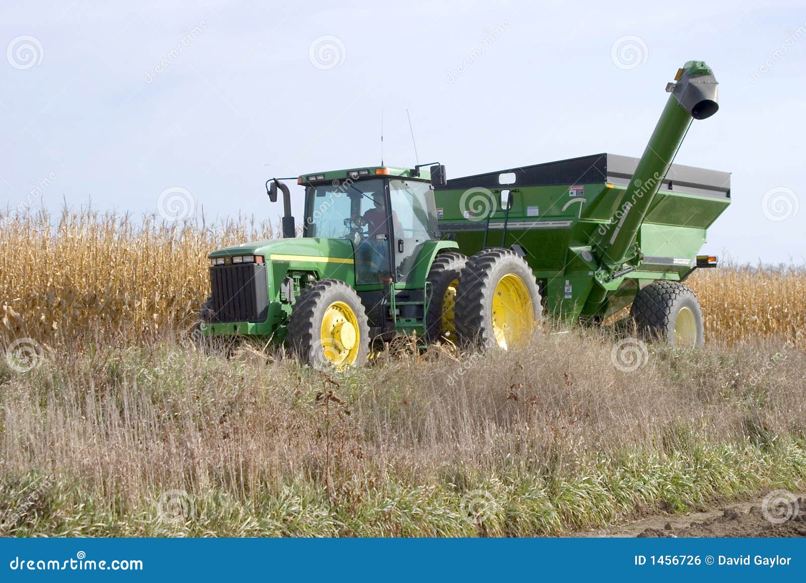 Bring in the corn stock photo. Image of elevator, field - 1456726